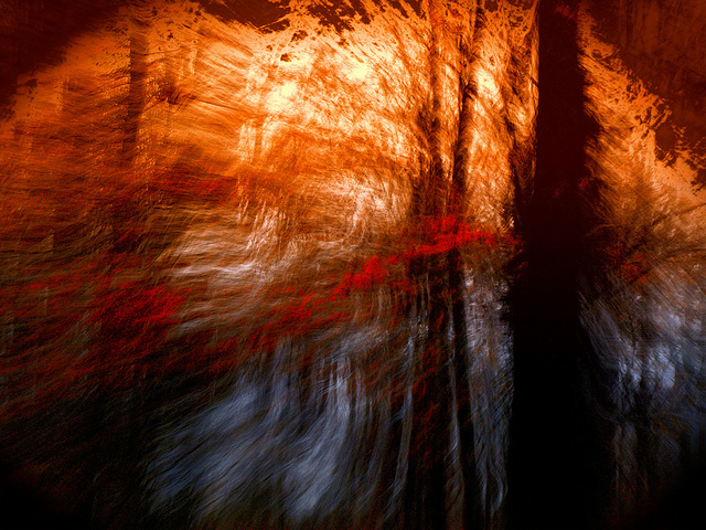 The Wildfire and Rebirth – The Comfort Zone Project